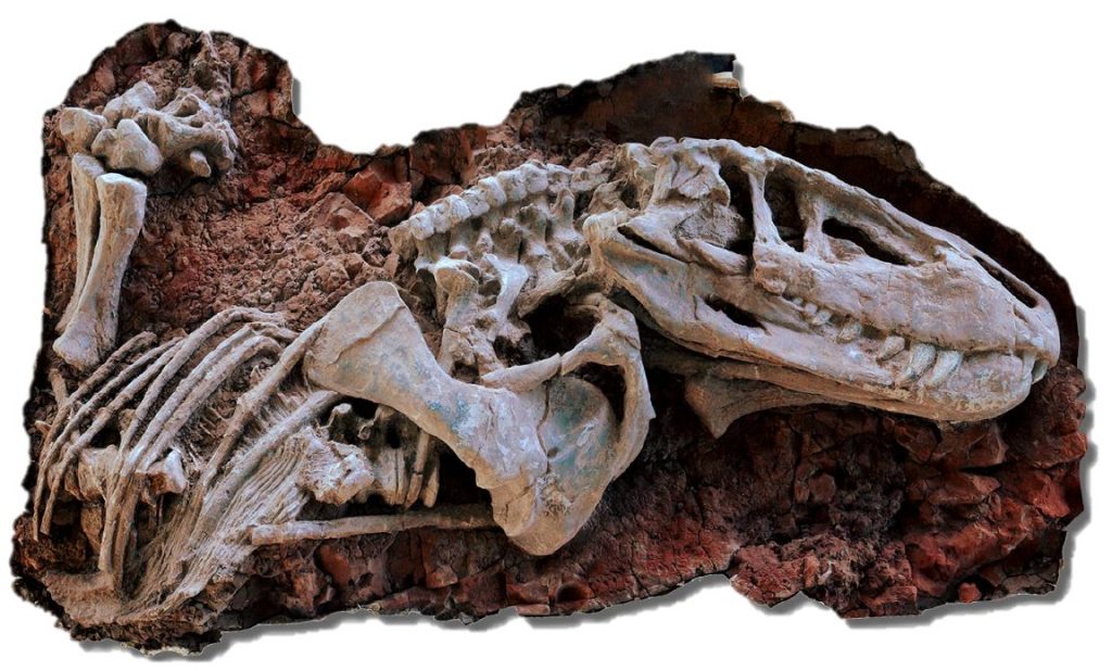 XIII SBPV – XIII Simpósio Brasileiro de Paleontologia de Vertebrados